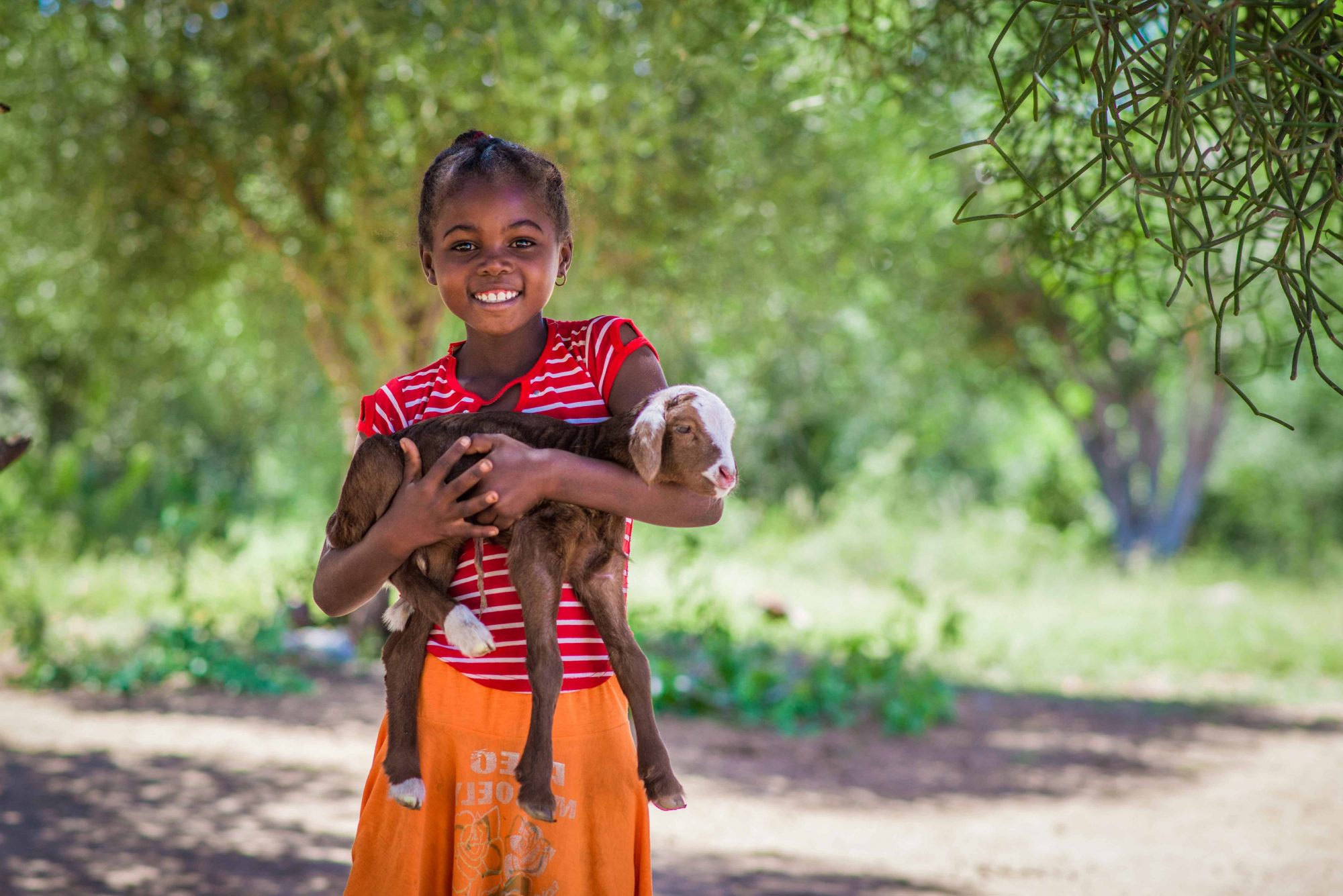 Where We Work | ADRA Zimbabwe